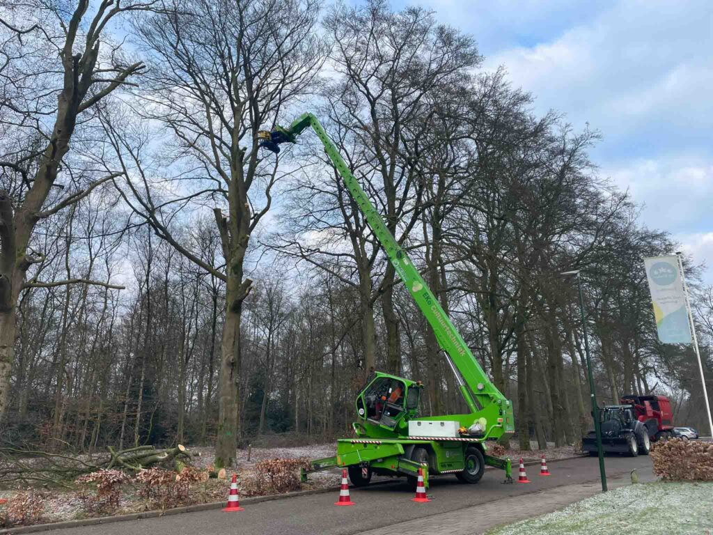 Bomen kappen & rooien - EKO Cultuurtechniek